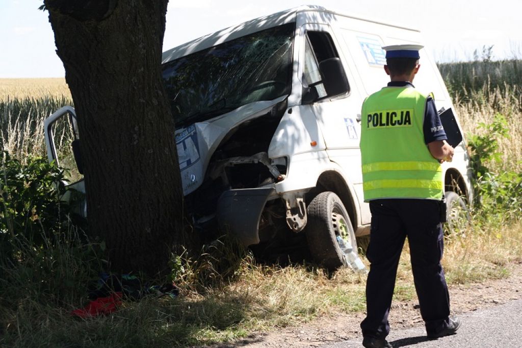 Groźny wypadek pod Suszem. Dwie osoby trafiły do szpitala (aktualizacja)
