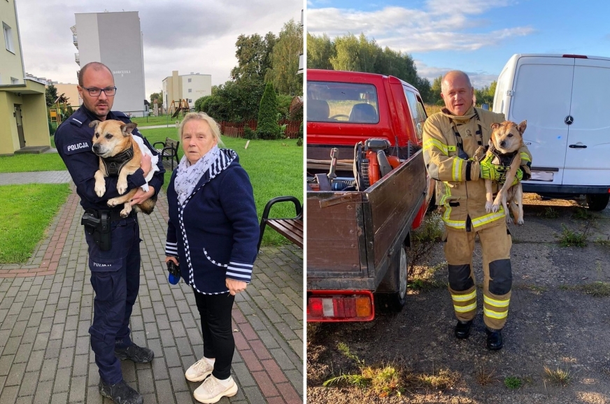 Z głębokiego dołu dobiegało szczekanie. Tak suscy strażacy i policjanci uratowali dwa zaginione ...