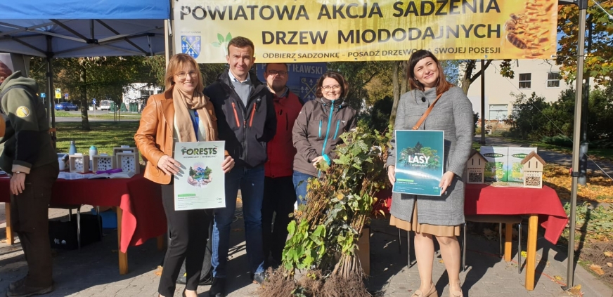 Powiatowe Święto Drzewa: Do mieszkańców już powędrowało 700 sadzonek ...